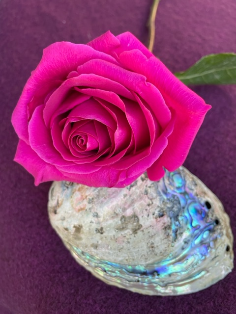 Pearls and Swirls – Pearls of Peace: A Family Psychologist’s Circle-of ...